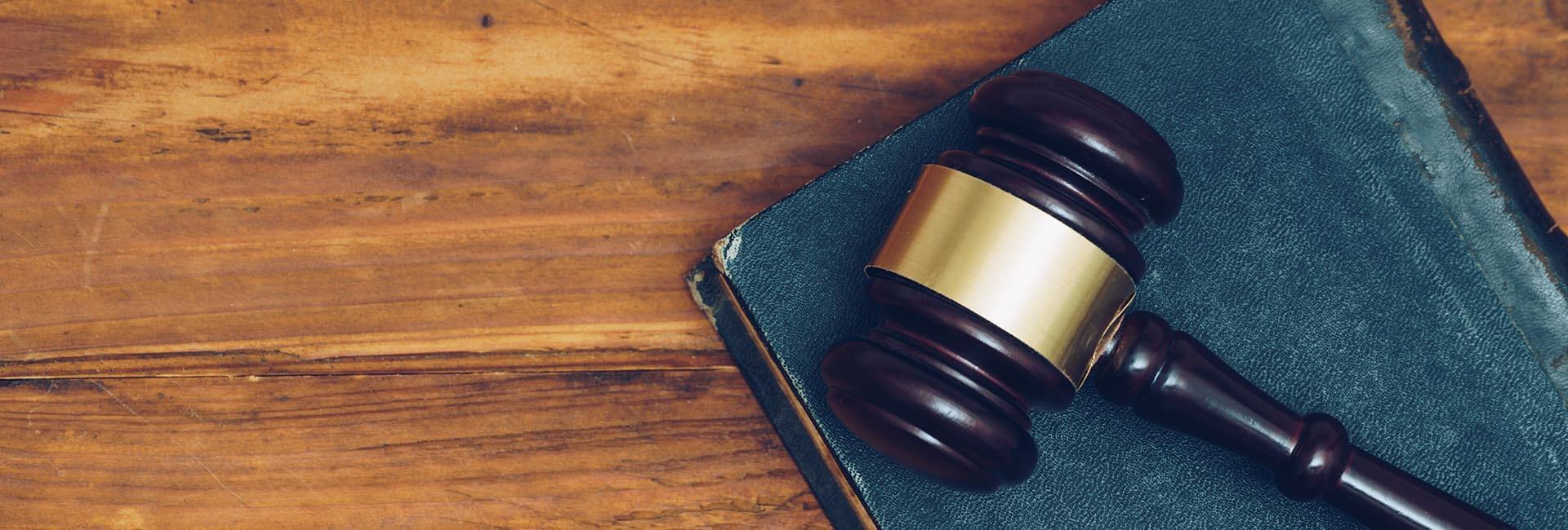 Consecutive Interpreting Services from Protranslating